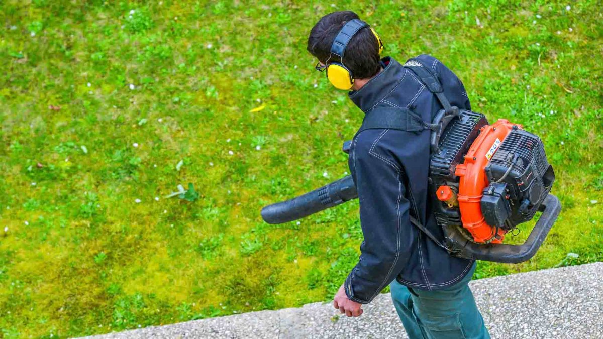 El condado Harris amplía oportunidades para contratos con pequeños ...