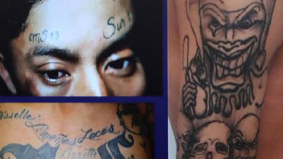 El Salvador captura a un cabecilla de la Mara Salvatrucha – Telemundo ...