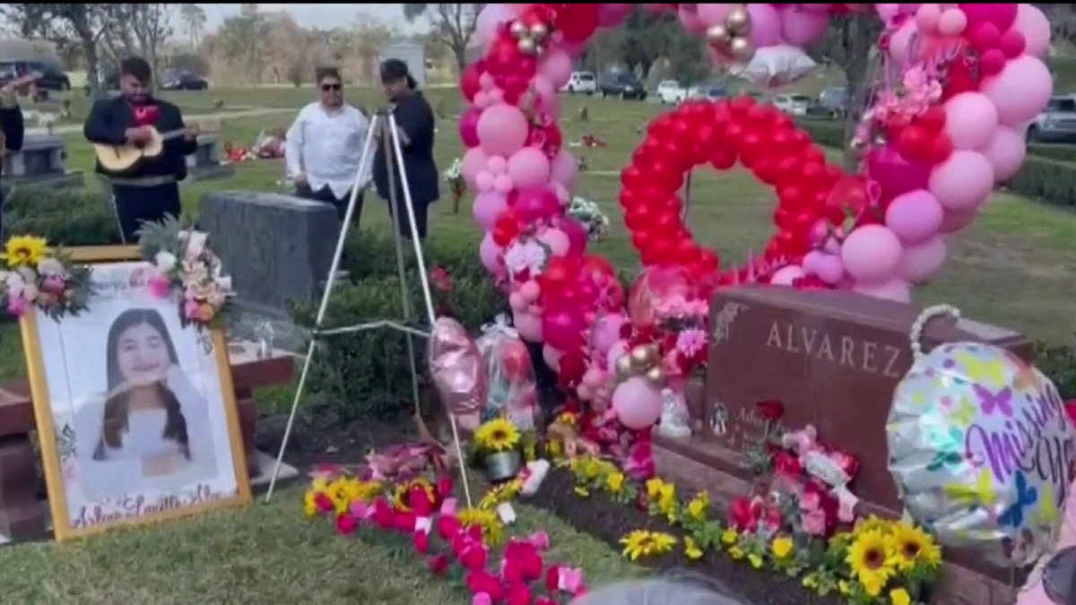 Nuevas pruebas: reabren caso de Arlene Álvarez | Telemundo Houston ...