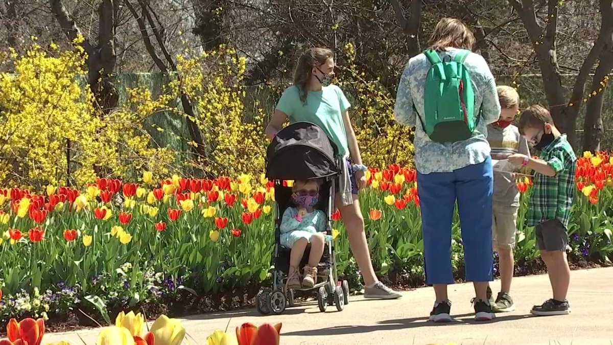 Actividades para niños durante las vacaciones de Spring Break ...