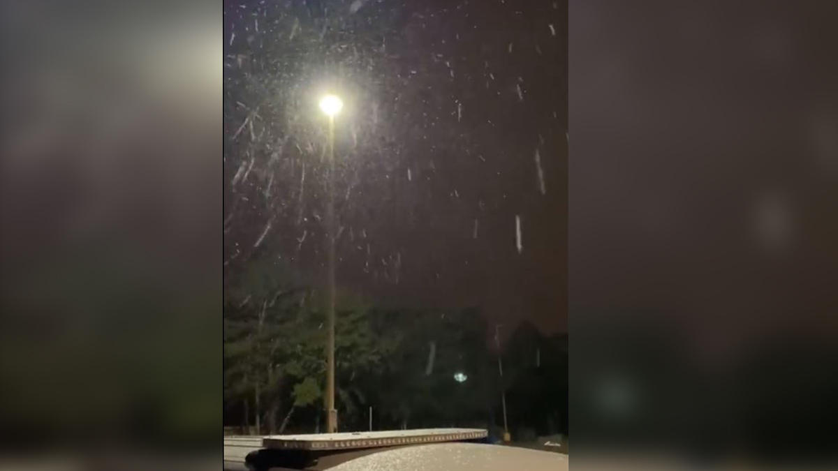 Nieve en Florida: policía capta momento de impresionante nevada ...