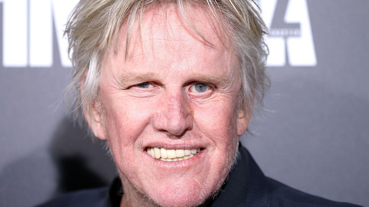 Acusan al actor Gary Busey de delitos sexuales – Telemundo Houston