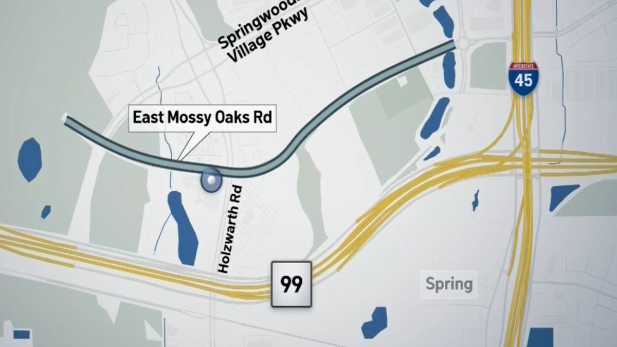 Mujer de Houston muere intentando ayudar a víctima de abuso – Telemundo ...