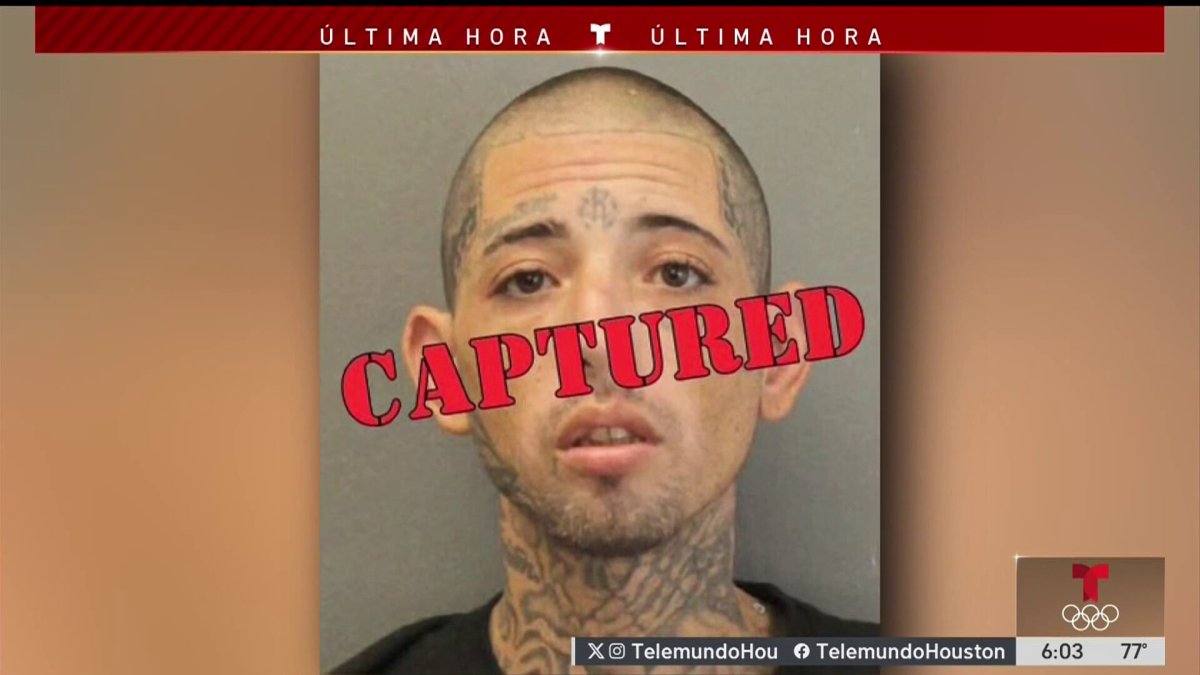 Capturan a reo fugado de la cárcel del Condado Harris – Telemundo Houston