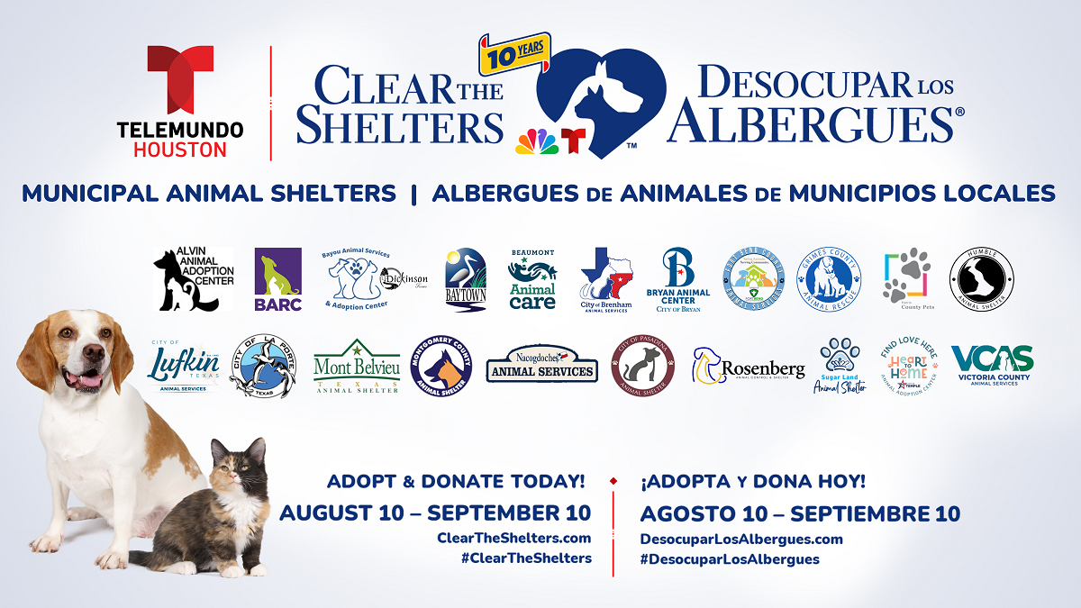 Desocupar los Albergues® / Clear the Shelters™ 2024 – Telemundo Houston