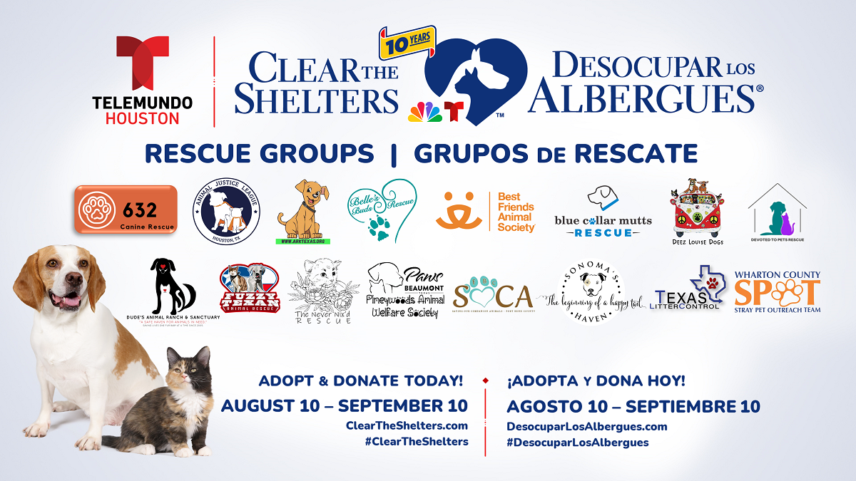 Desocupar los Albergues® / Clear the Shelters™ 2024 – Telemundo Houston