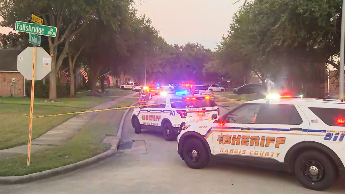 Hombre armado herido por oficiales en disturbio en Condado Harris ...