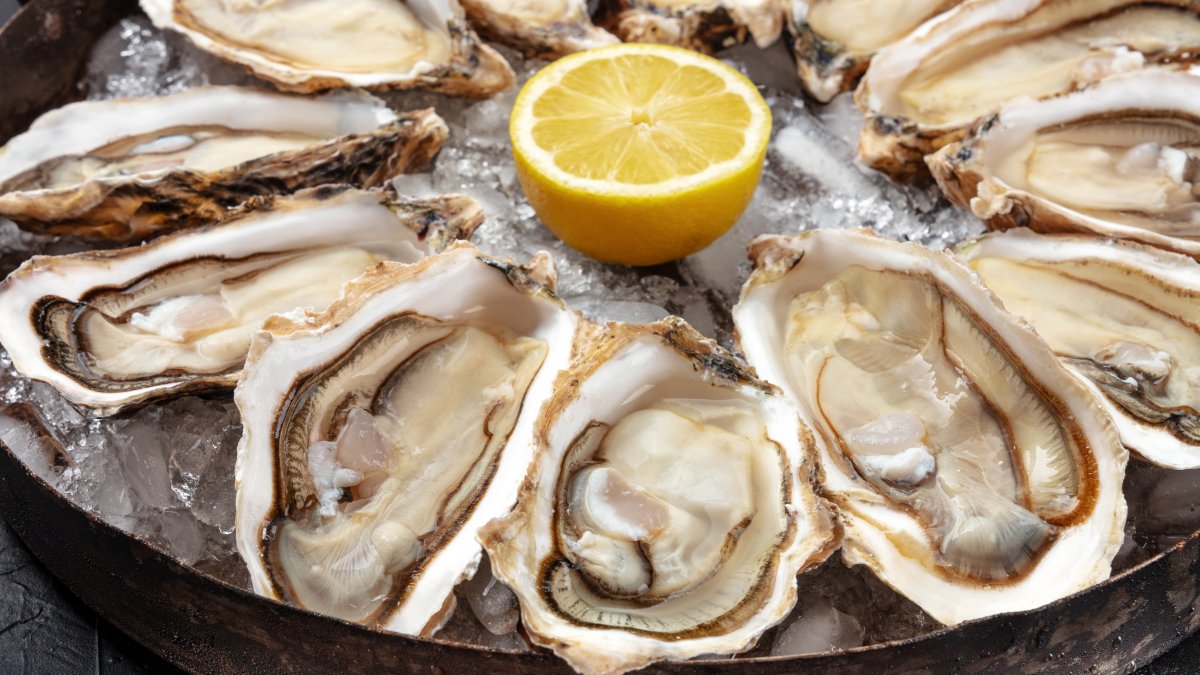 Mueren tras comer ostras crudas en Louisiana – Telemundo Houston