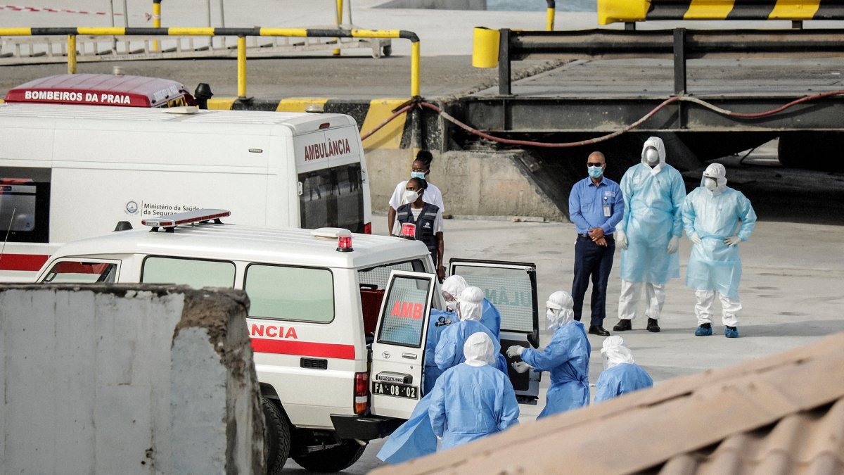 ¿Qué es el virus de los Andes y cuáles son sus síntomas? – Telemundo ...